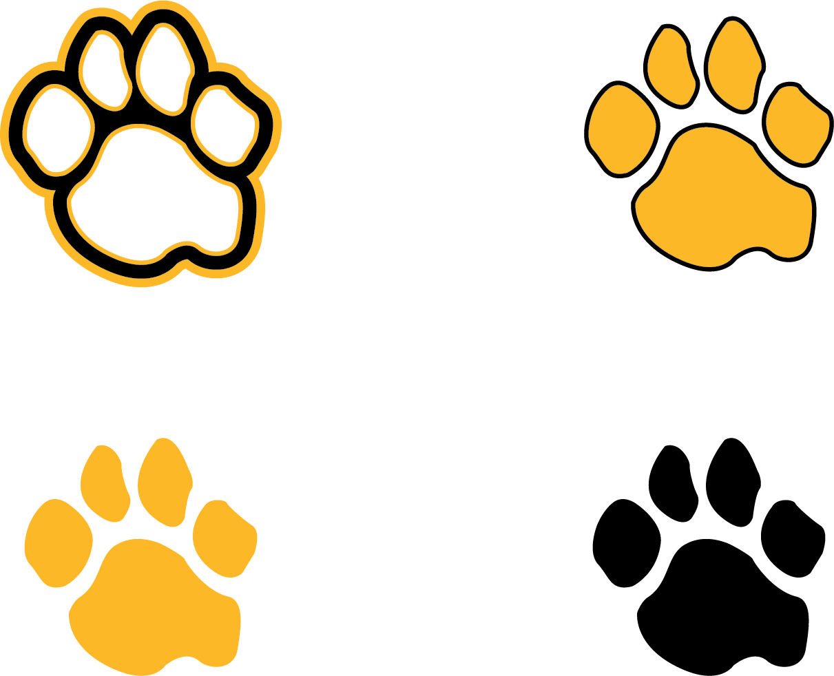 Graphic Elements – Brand and Style Guide – UMBC